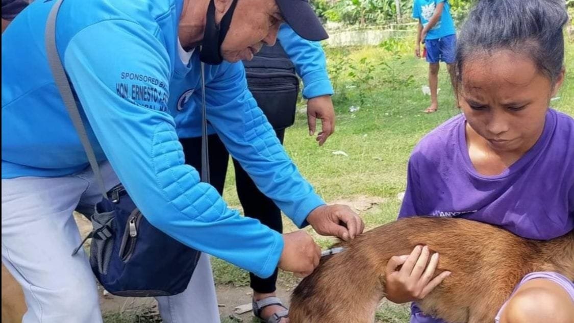 Rabies cases in Negros Occidental up by 39% | Digicast Negros