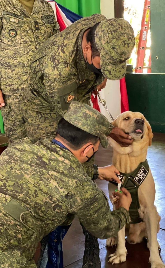 42 soldiers, 2 K9 dogs get military merit medals - Digicast Negros