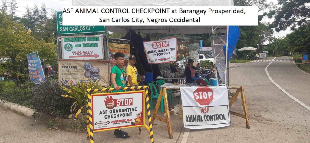 Mayor Gustilo: Barangay sa San Carlos nag-record sang ASF postive case ...