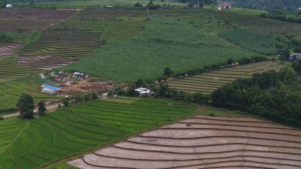 Neg Occ naga handa sa El Niño Phenomenon; irrigated rice fields tutukan ...