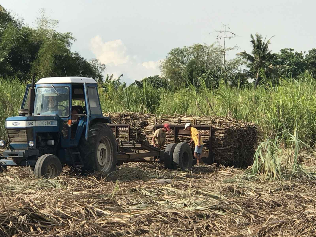 UNIFED thanks DA, SRA for higher sugar prices - Digicast Negros